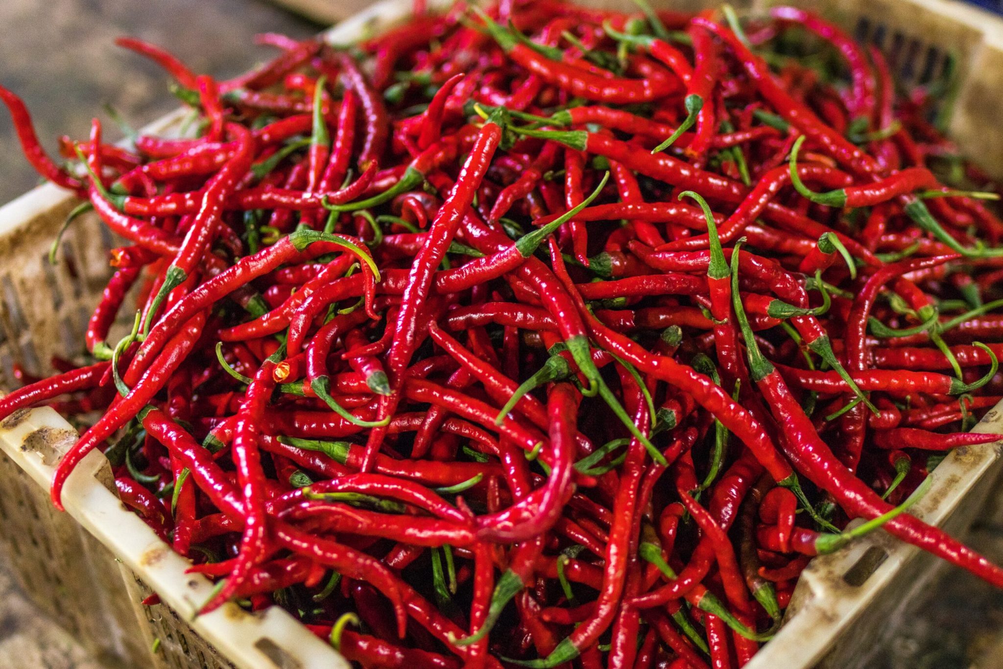 Red Chilli – OAHU General Trading